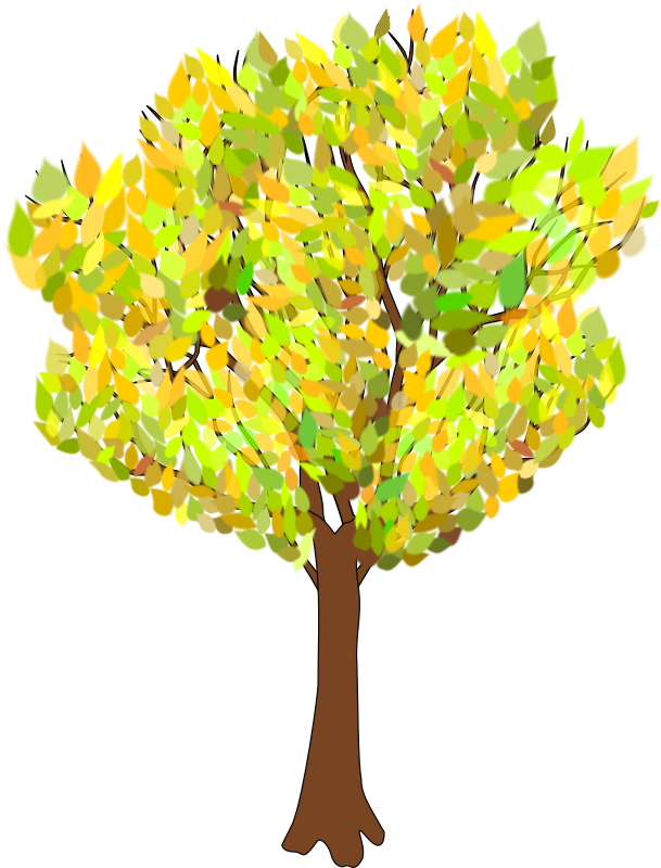 Download Medium Image - Autumn Tree Png Transparent PNG Image with No ...