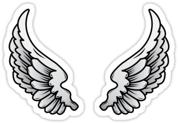 Download Angel Wings Png Tumblr Download - Twitter PNG Image with No ...
