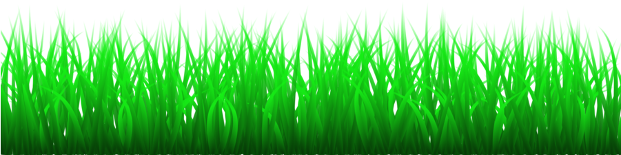 Download Big Grass Clipart Lawn Clip Art - Grass Pdf PNG Image with No ...