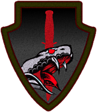 Viper Squad [viper] - Shield - Free Transparent PNG Download - PNGkey