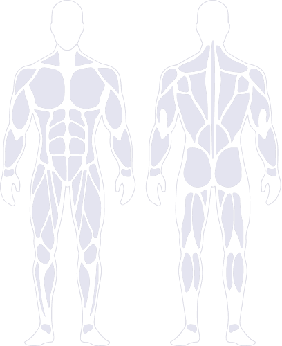 Download Muscle Groups - Jumping Jack PNG Image with No Background ...