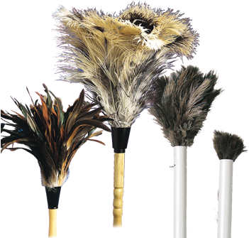 Feather Dusters - Free Transparent PNG Download - PNGkey