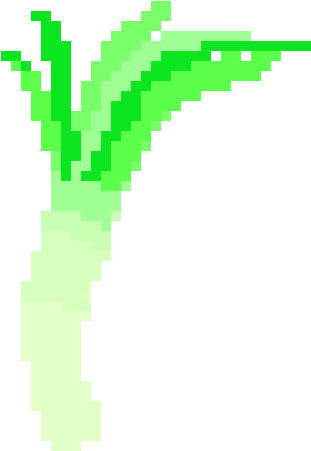 Download Leek PNG Image with No Background - PNGkey.com