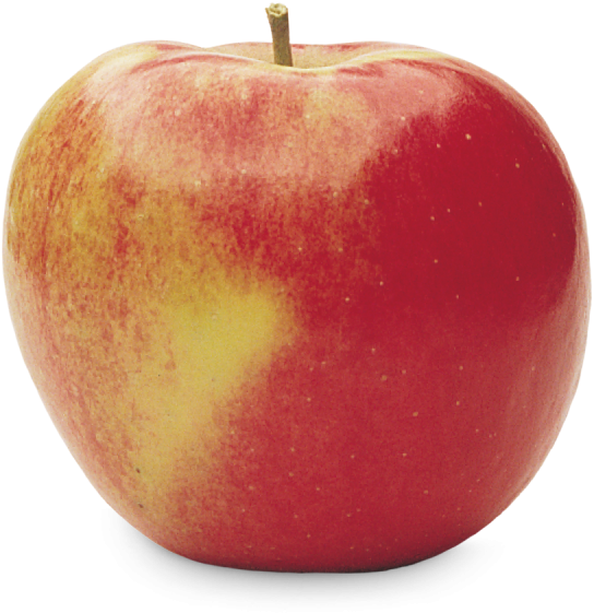 Download Fuji - Apple PNG Image with No Background - PNGkey.com