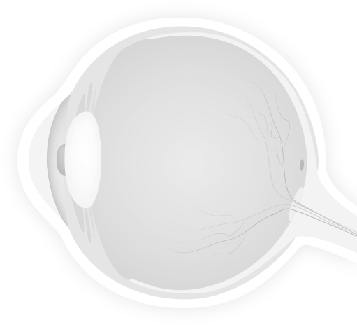 Download Ojo - Ojo Anatomia Png PNG Image with No Background - PNGkey.com