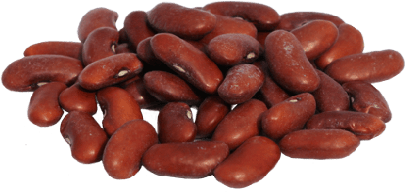 Download Free Png Kidney Beans Png Images Transparent - Beans Png PNG ...