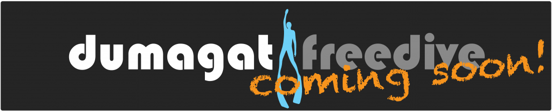 Download Cropped Dumagat Banner Coming Soon - Handmade Earrings PNG ...