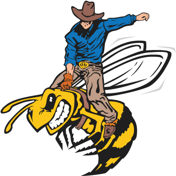 Texas Angry Bee Honey - Angry Bees - Free Transparent PNG Download - PNGkey