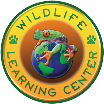 Download Logo - Wildlife Learning Center Logo PNG Image with No ...