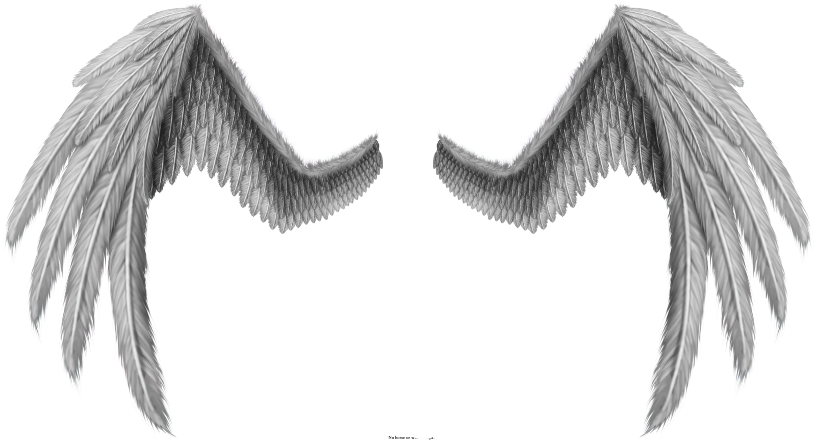 Download Angel Wings Side Profile Set Of 4 Gold Dresden Wings - Wings ...