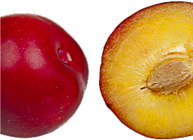 Download Java Plum Clipart Png - Prunes Fruit In Tamil Name PNG Image ...