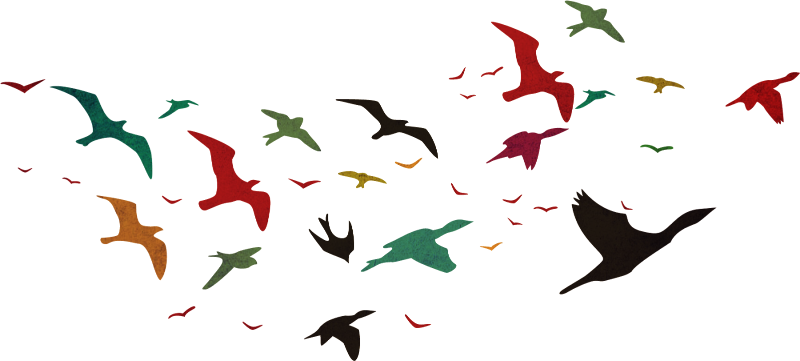Download La - Bird Vector PNG Image with No Background - PNGkey.com
