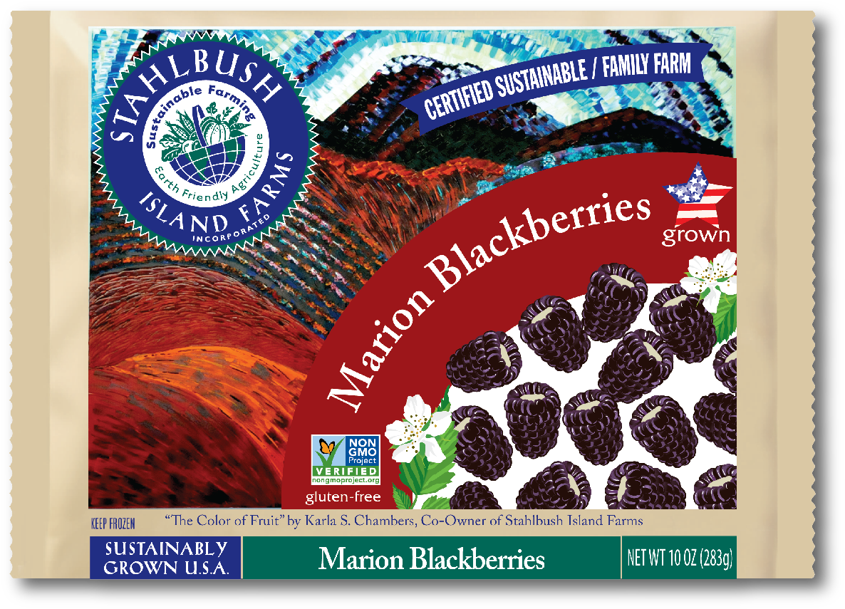 Download A Truly Oregon Berry, Marion Blackberries Or Marionberries ...