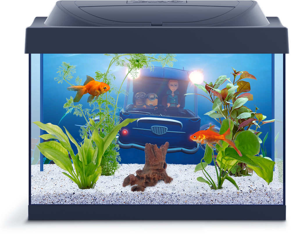Download Minion Aquarium PNG Image with No Background - PNGkey.com