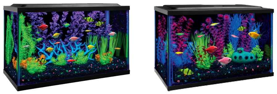 Glofish Tank Background