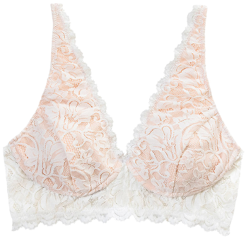 Download Brassiere PNG Image with No Background - PNGkey.com
