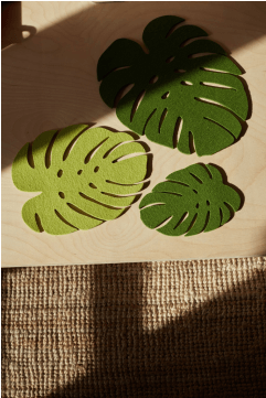 Download Felt Monstera Leaf Trivet - Trivet PNG Image with No ...