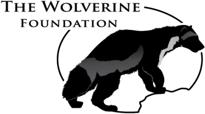 Download Wolverine Foundation PNG Image with No Background - PNGkey.com
