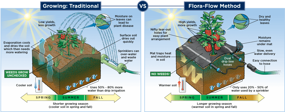 Download Beginner Vegetable Garden - Flora-flow 3 Minute-a-day All-in ...
