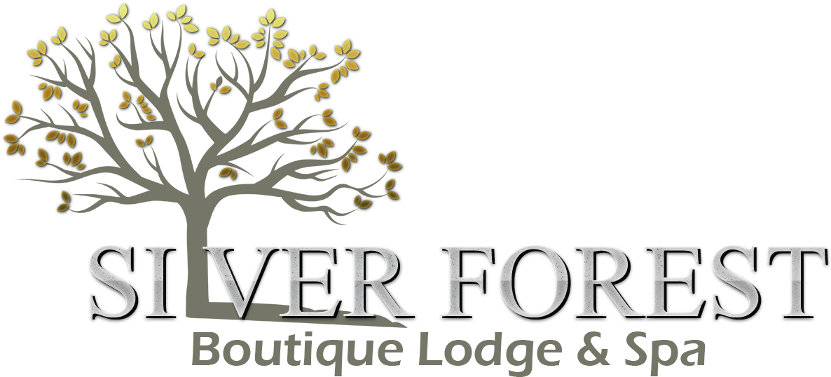 Download Silver Forest Logo - Silver Forest Boutique Lodge And Spa PNG ...