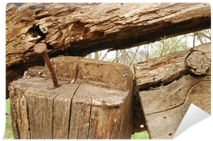 Download Old Wood Wormed Timber And Rusty Nail Close Up Wall - Wood PNG ...