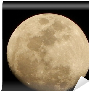 Download Moon PNG Image with No Background - PNGkey.com
