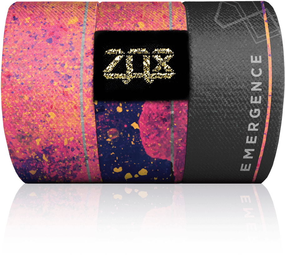 Download Emergence - Zox Guardian PNG Image with No Background - PNGkey.com