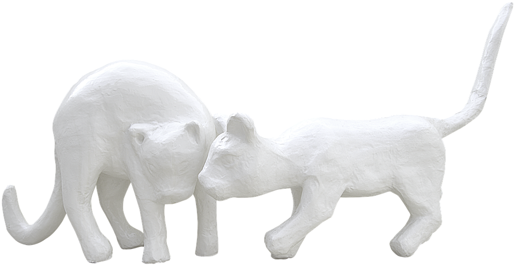Download Plaster,white Cats,cats Plaster,white - White PNG Image with ...