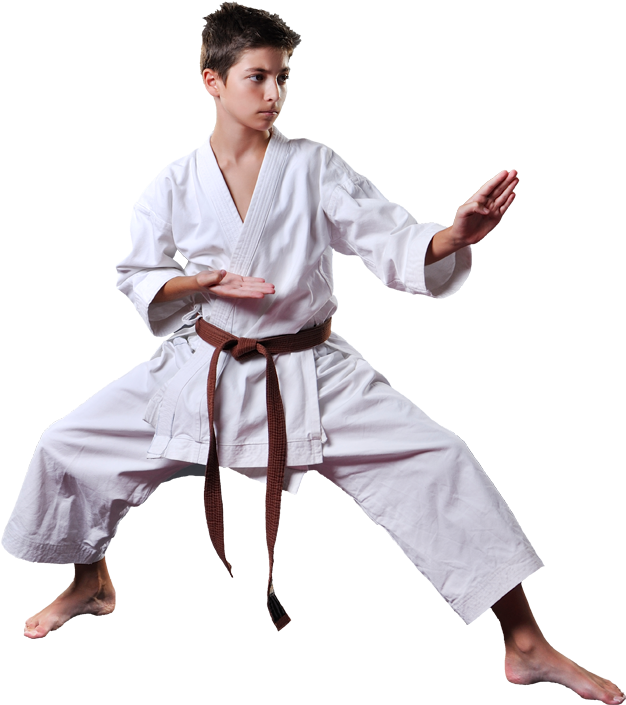 Teen Boy In Karate Stance - Karate - Free Transparent PNG Download - PNGkey