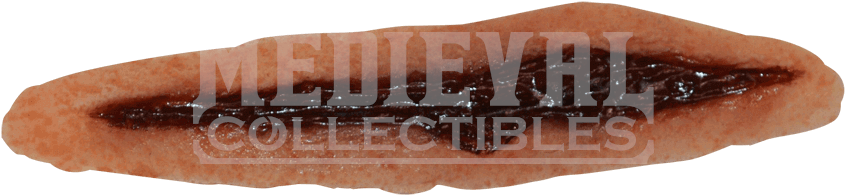 Download Large Gash Walker Appliance - Earthworm PNG Image with No ...