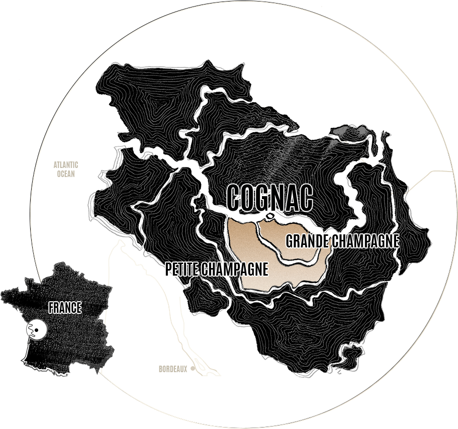 Download Solidarity And Long-term Vision, Both Within The Company ...