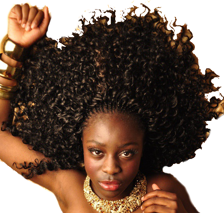 Download Braid PNG Image with No Background - PNGkey.com