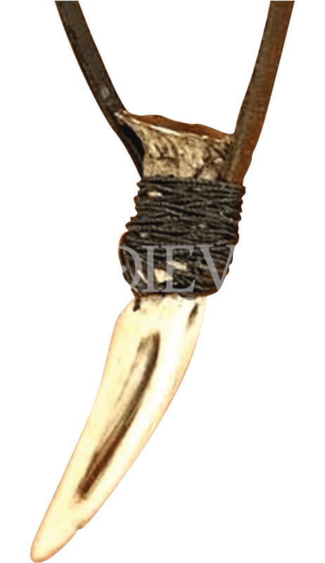 Download Wish Brave Man Wolf Tooth Necklace Domineering Courage - Wolf ...