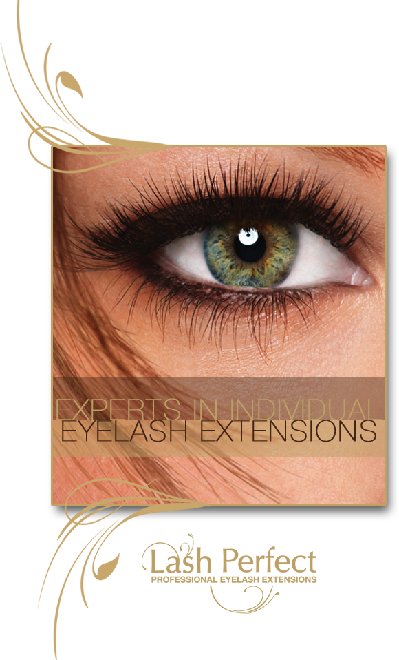 Download Lash Perfect PNG Image with No Background - PNGkey.com