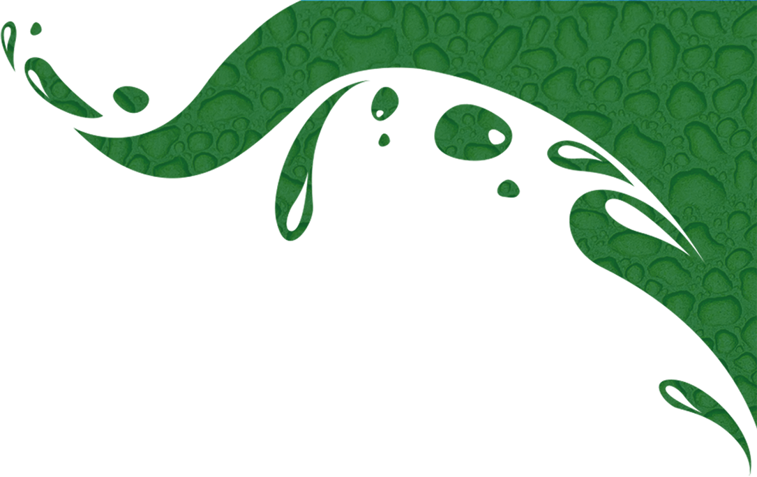 Download Home - Washify - Location - Wash Packages - Contact ...