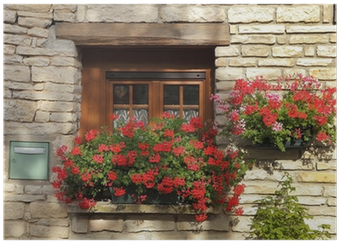 Window Box Flower Arrangement, Burgundy, France Poster - Burgundy ...