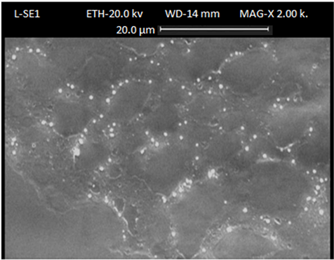 Download Spherical Shape Morphology And Narrow Particle Size - Outer ...