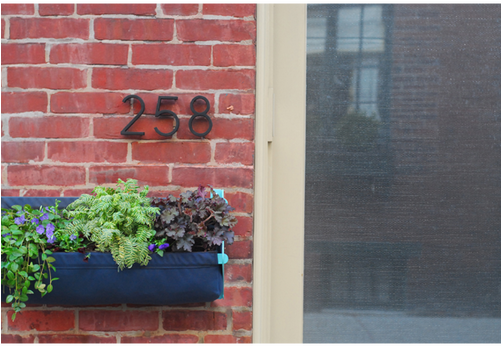 Tucker Window Box - Wall - Free Transparent PNG Download - PNGkey