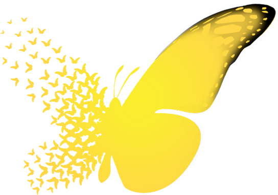 Butterfly Logo - Butterfly Effect - Free Transparent PNG Download - PNGkey