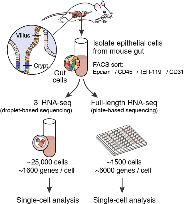 Download Here We Report Profiling Of 53,193 Individual Epithelial ...