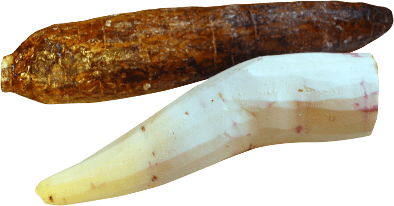 Download Free Png Cassava Peeled Png Images Transparent - Peeled ...