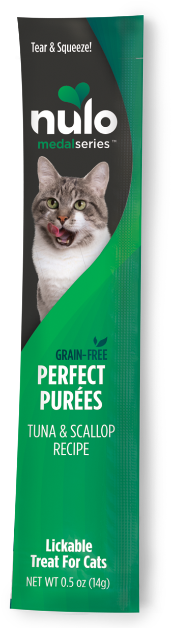 Small Image Alt - Cat - Free Transparent PNG Download - PNGkey