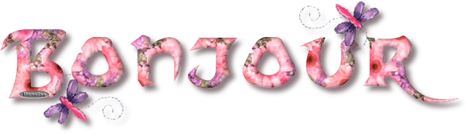 Download Bonjour 2017 Bonjour Tous 2017 - Mot Bonjour PNG Image with No ...