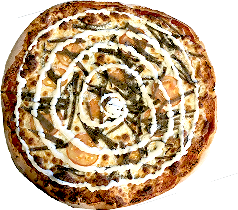 Download Gyro PNG Image with No Background - PNGkey.com