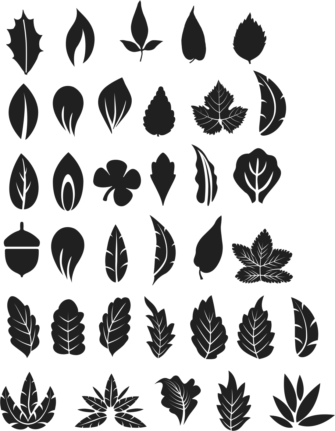 Tree Leaves Vector Free - Free Tree Leaf Vector - Free Transparent PNG ...