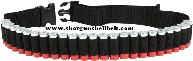 Download Shell Belt - Belt PNG Image with No Background - PNGkey.com