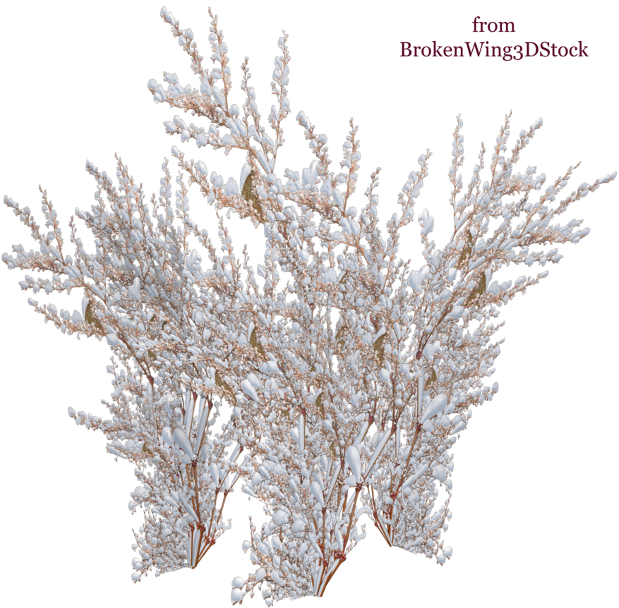 Download The Snow On The Tree PNG Image with No Background - PNGkey.com