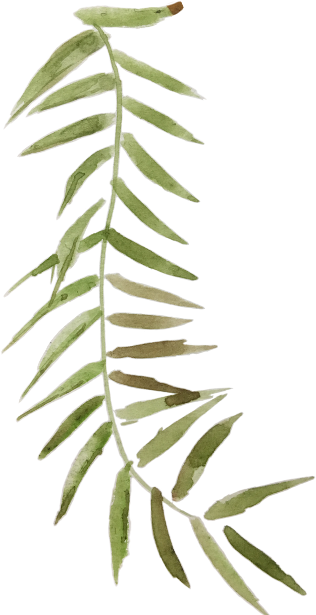 Download Img 3550 Img 3552 PNG Image with No Background - PNGkey.com