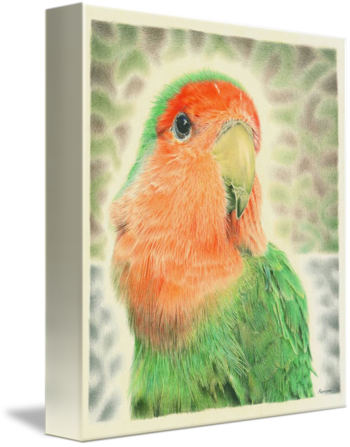 Download Lovebird Pilaf By Remrov S Artwork Share - Watercolor Painting ...