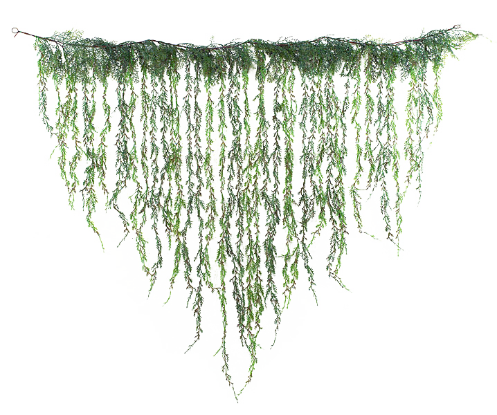 Jungle Vines Hanging